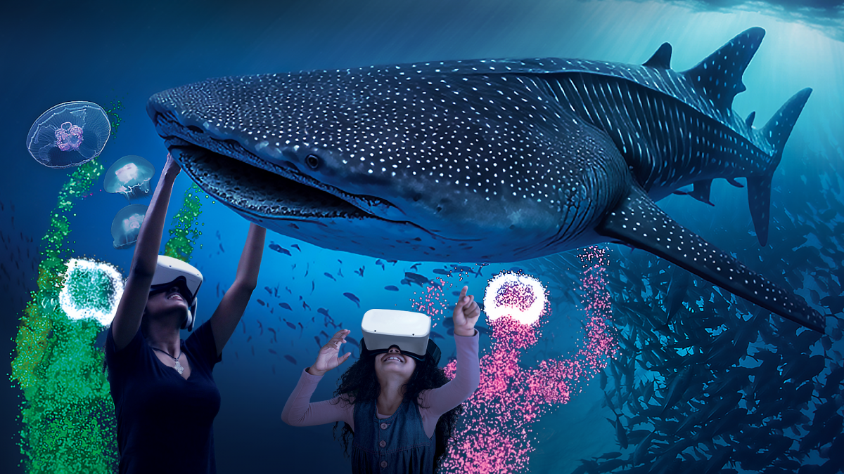 Products – Pulseworks